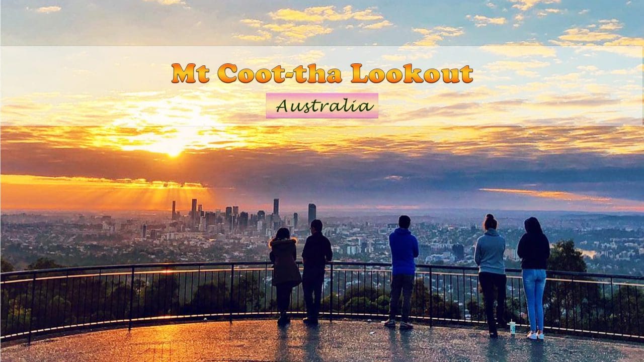 Mt Coot-tha Lookout: Beautiful by day, spectacular by night ...